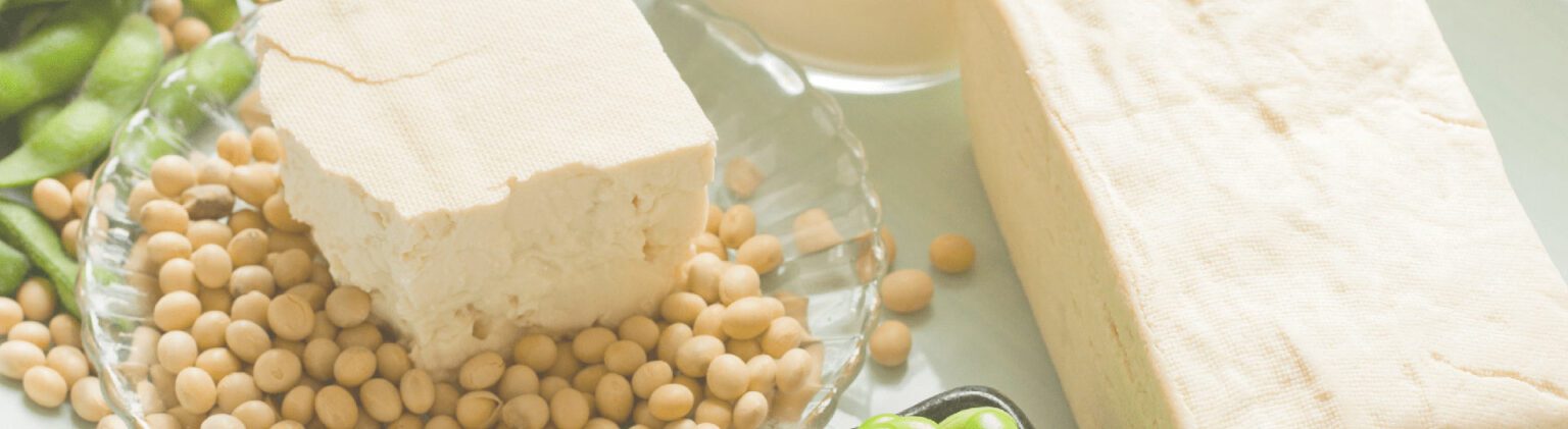 Seitan - SOY